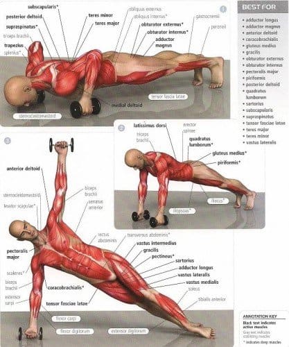 ¿Qué músculos trabajo en cada ejercicio? | Mundo Entrenamiento ¿Qué músculos trabajo en cada ejercicio? | Mundo Entrenamiento