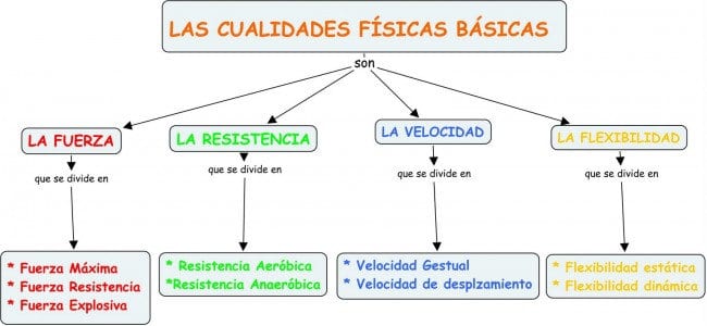 4 Basic Physical capacities in Physical Education