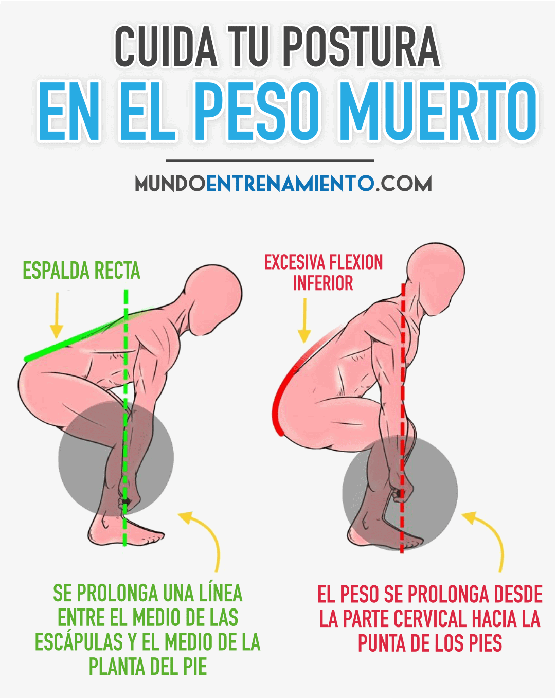 Peso muerto: aspectos técnicos y beneficios【2020】