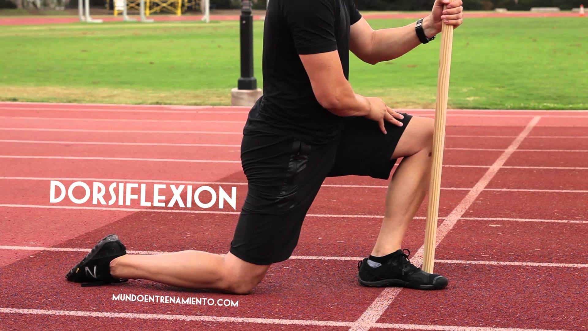 Dorsiflexión: Su gran importancia | Mundo Entrenamiento