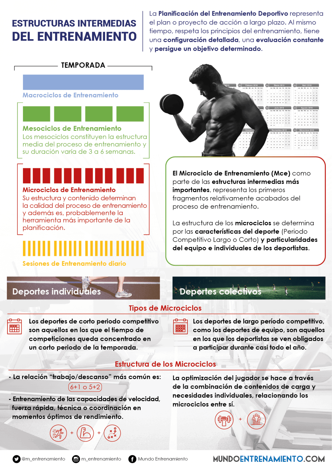Microcycle training, everything you need to know.