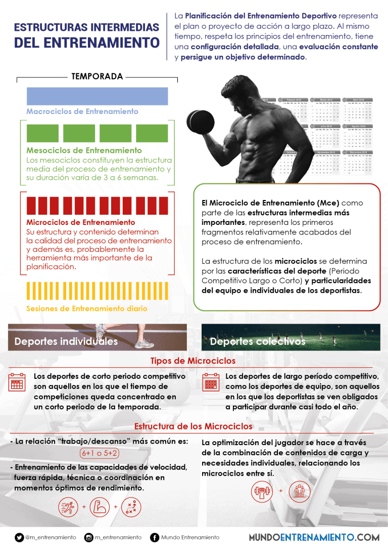 Microcycle training, everything you need to know.