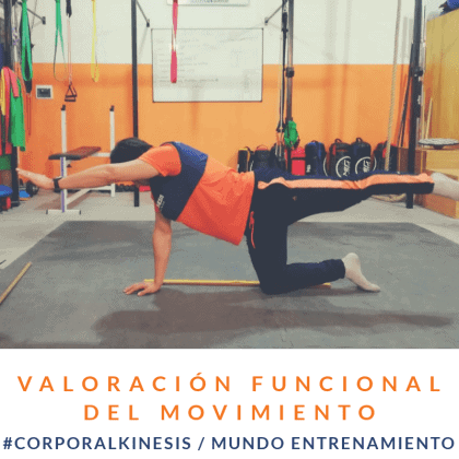 FMS functional movement assessment and its importance