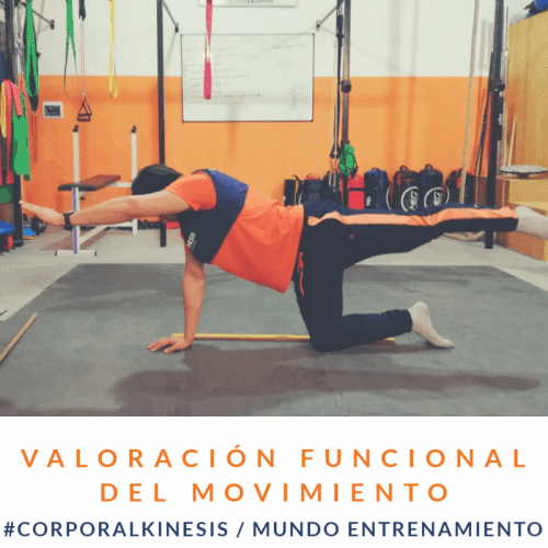 FMS functional movement assessment and its importance