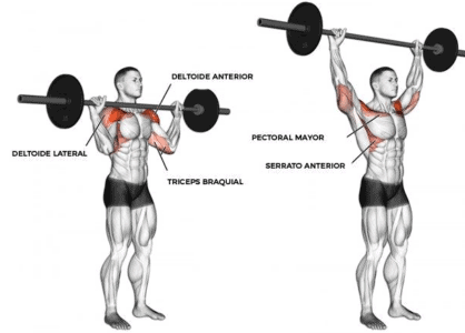 Mejores ejercicios para hombros: estimula sus 3 partes?