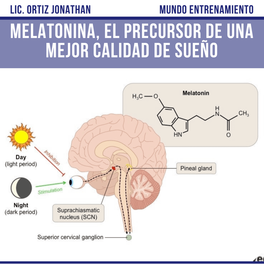 Melatonina, 3 estrategias para un mejor descanso nocturno