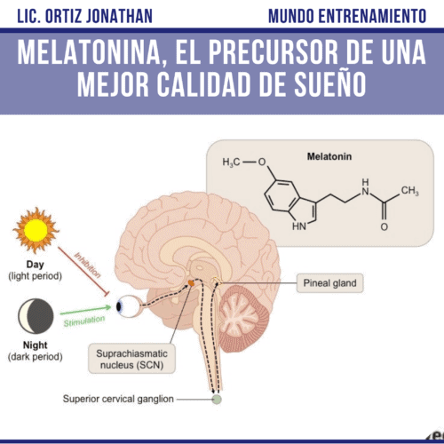 Melatonina, 3 estrategias para un mejor descanso nocturno