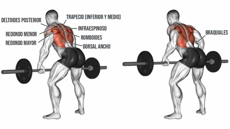 Barbell row, 5 Common Mistakes You Should Know