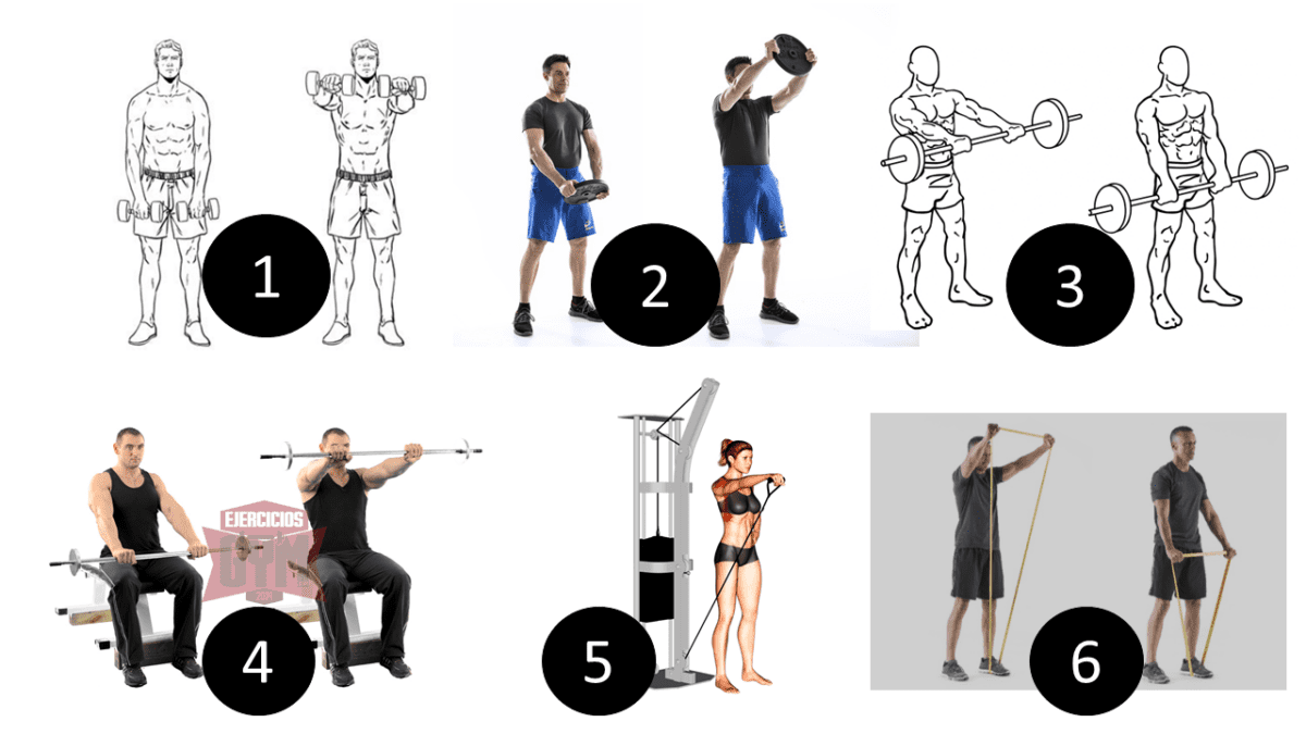 Mejores ejercicios para hombros: estimula sus 3 partes
