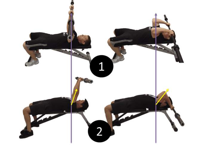 Press francés alternativa【5 Variantes que debes conocer】