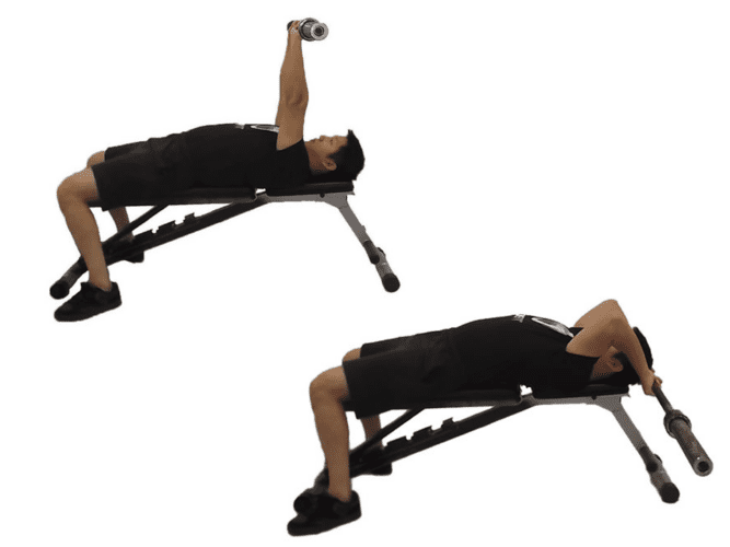 Press francés clásico【5 Variantes añadidas】