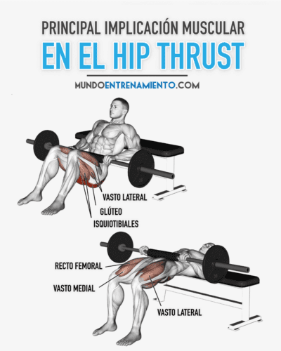Hip Thrust【1 de los mejores ejercicios para Glúteo】