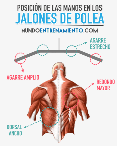 Jalón al pecho【1 ejercicio ideal para nuestro dorsal】