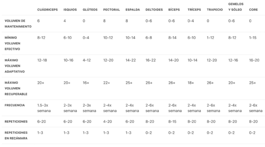 Volumen de entrenamiento e hipertrofia【1 Guía completa】