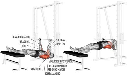 Inverted row: 1 great exercise to improve pull-ups