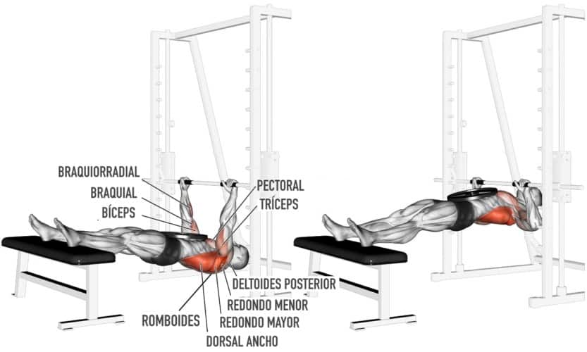 Inverted row: 1 great exercise to improve pull-ups