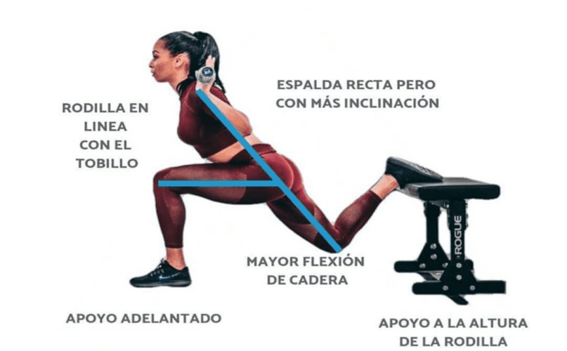 Sentadilla búlgara perfecta a estudio【1 Guía completa】