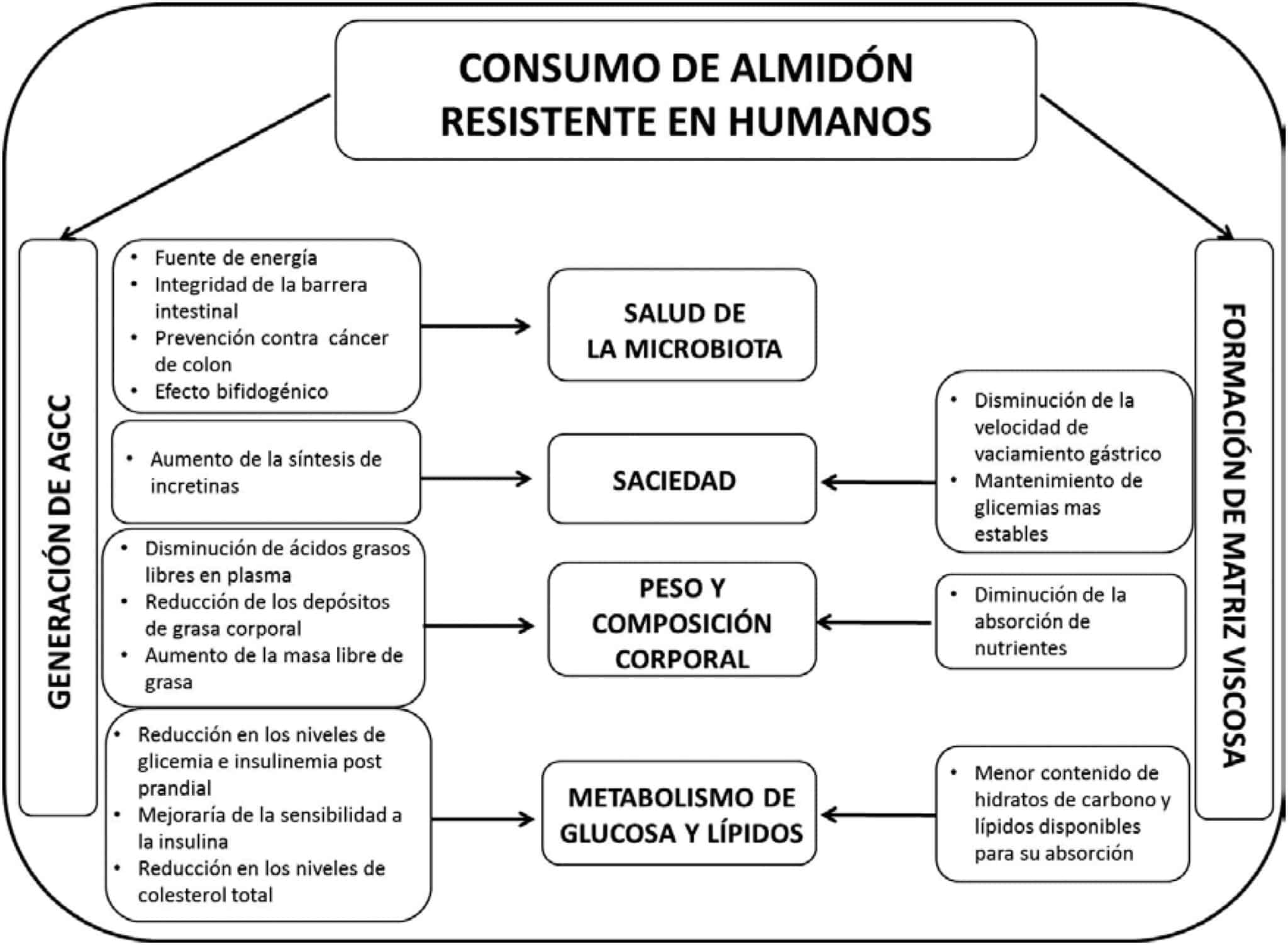 Almidón resistente: 4 beneficios que debes conocer