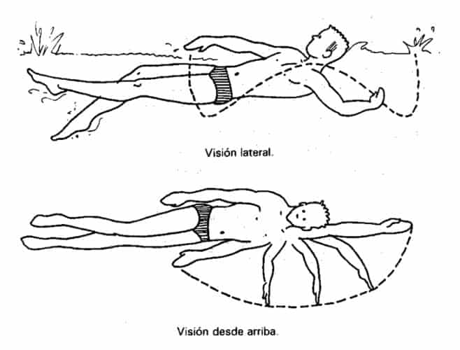 Espalda en natación 1 análisis biomecánico
