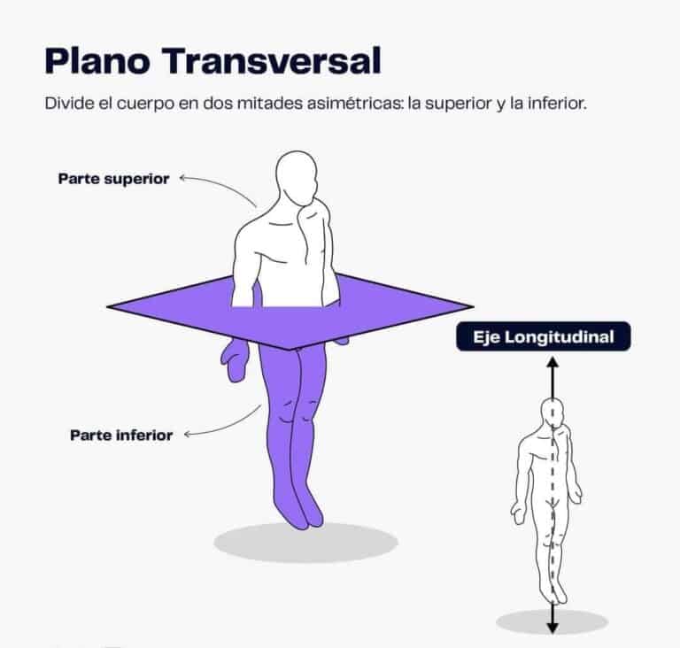 Planes and axes of motion : 3 Training World