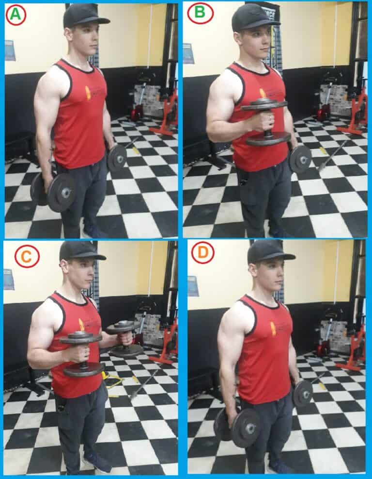 Ejercicios para bíceps【1 Guía completa】