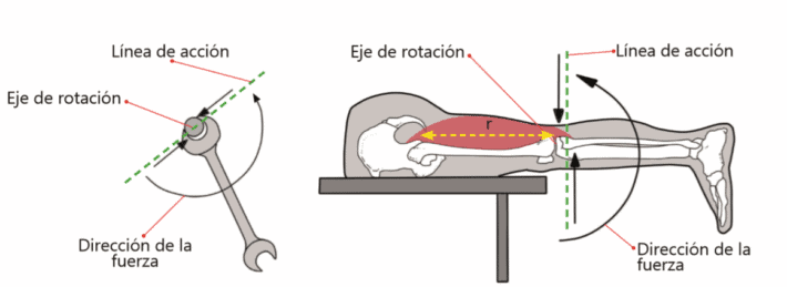 6 conceptos de Biomecánica que debes concoer