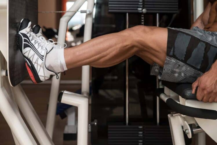 Leg Muscles -【1 Advanced Anatomical Guide】