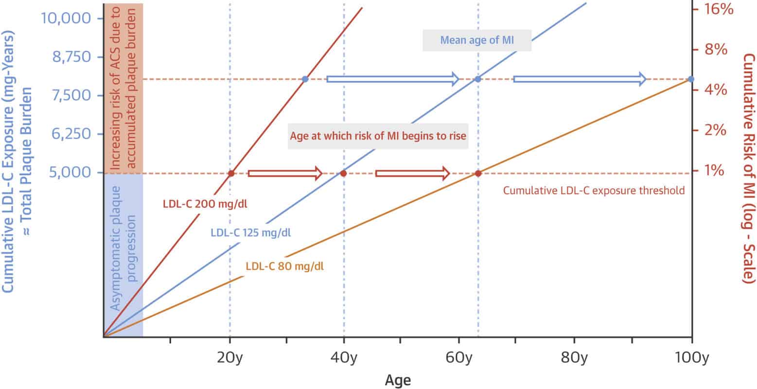 Colesterol alto - ¿Por qué es peligroso para la salud?