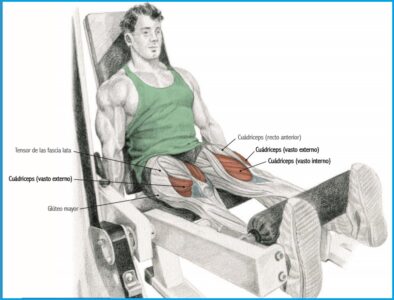 Extensión de Cuádriceps -【1 Guía completa】