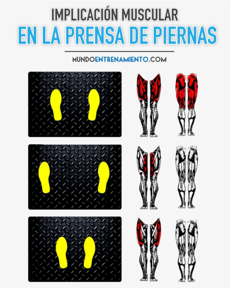 Prensa para piernas en el gimnasio -【1 Guía completa】