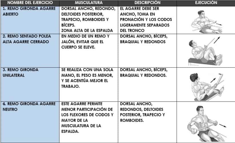 Remo Gironda -【1 guía completa y práctica】