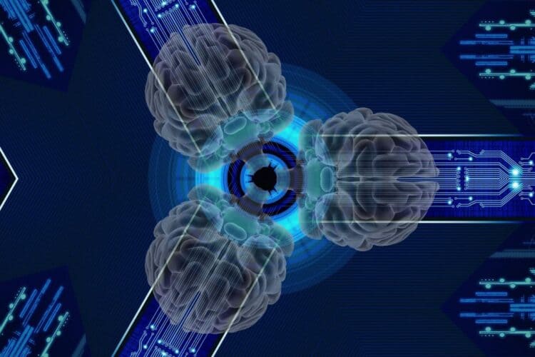 Impacto del cerebro triuno en la conducta humana