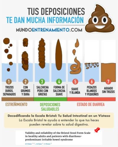 Tipos de heces y su significado - 1 Guía completa