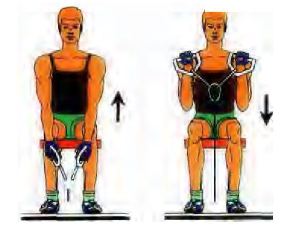 Curl de biceps en polea baja