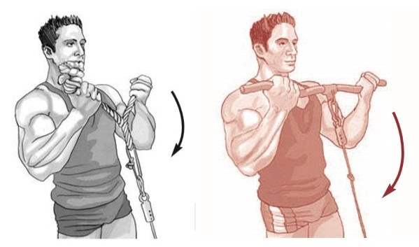 Curl de biceps en polea baja