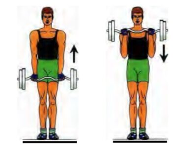 Curl de Biceps con barra Z - 3 Variantes que debes conocer