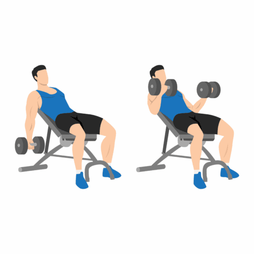 Curl de biceps en banco inclinado - 5 claves a considerar