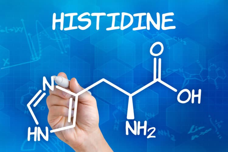 L-histidina: aminoácido esencial con grandes beneficios