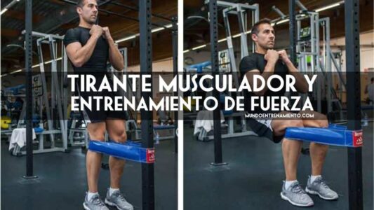Muscle brace and strength training